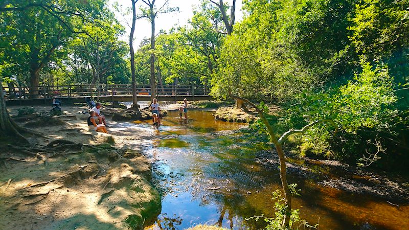 Puttles Bridge – Mister Bump